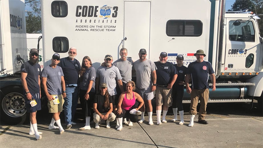 Ryan Newman lauds wife Krissie's work to rescue animals after Florence ...