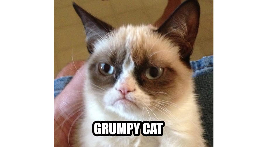 @nascarcasm: Internet memes with NASCAR twists | NASCAR.com