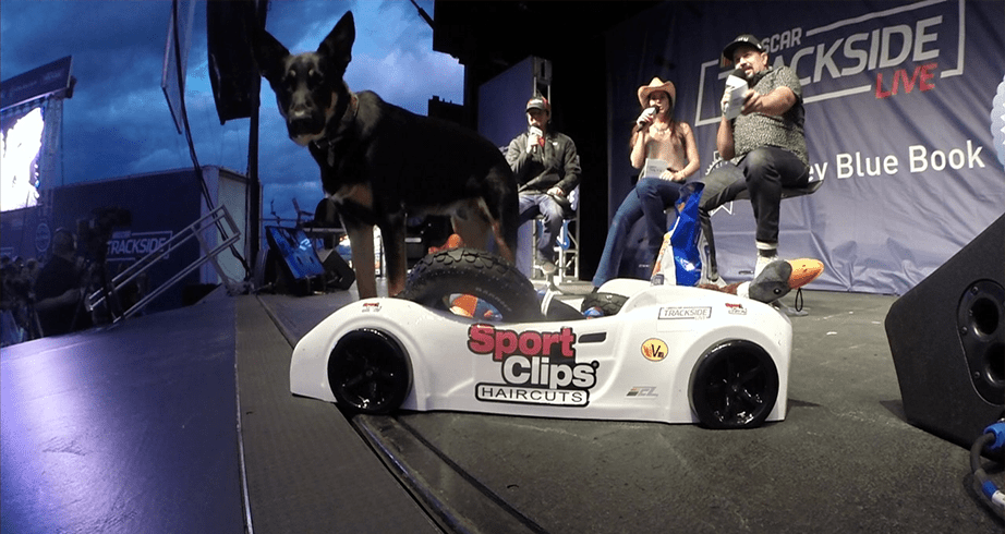 Erik Jones, Oscar the dog visit Trackside Live | NASCAR.com