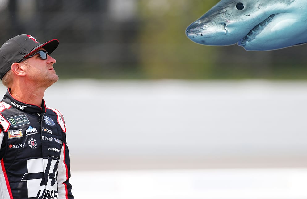 @nascarcasm: Find the shark in the NASCAR picture | NASCAR.com