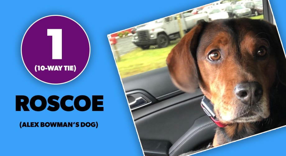 Random Power Rankings: Drivers' dogs | NASCAR.com