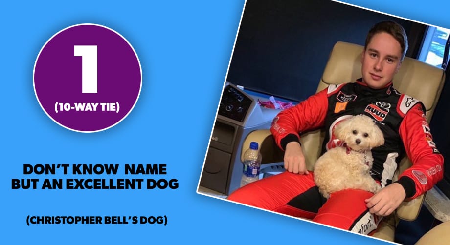 Random Power Rankings: Drivers' dogs | NASCAR.com