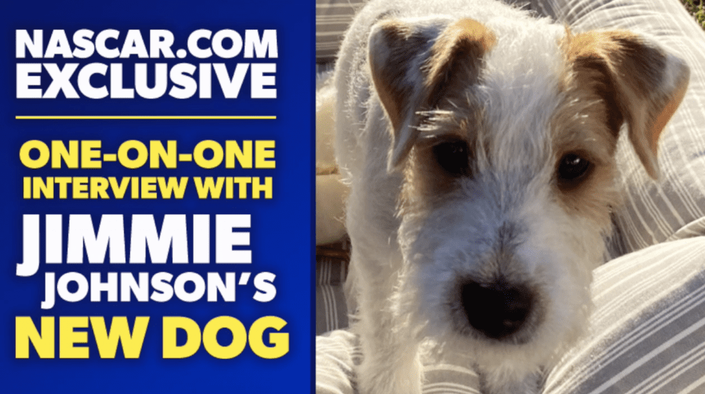 Exclusive: First interview with Jimmie Johnson's new dog - NASCAR.com