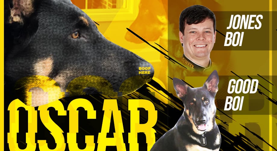 @nascarcasm: Hero cards for drivers' dogs | NASCAR