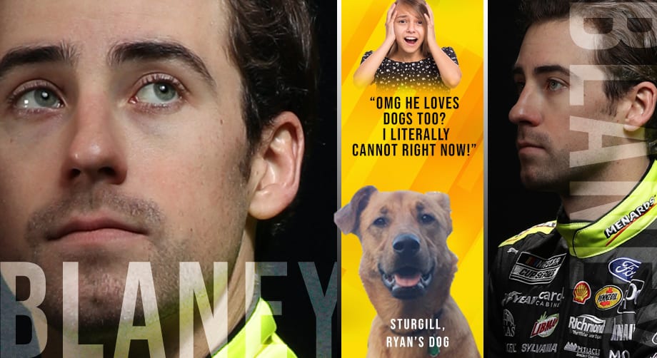 @nascarcasm: Hero cards for drivers' dogs | NASCAR