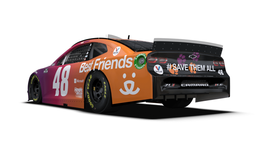 Alex Bowman's Best Friends Animal Society scheme by Ally | NASCAR