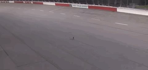 Keep NASCAR weird: Bizarre instances in stock car history | NASCAR