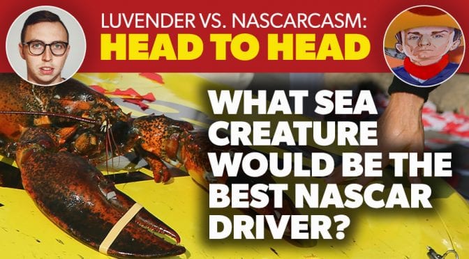 Debate: Which sea creature would be the best NASCAR driver? | NASCAR