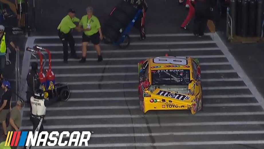 Kyle Busch fined $50,000 after Darlington | NASCAR
