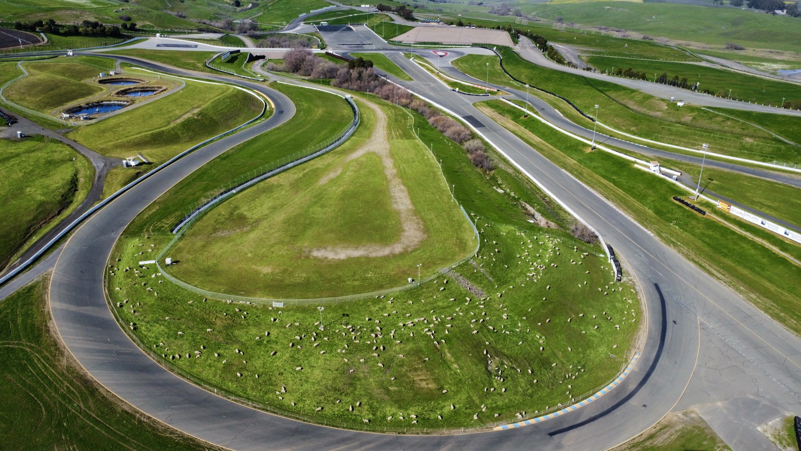 Scenic Sonoma: Capturing the beauty of unique NASCAR track | NASCAR