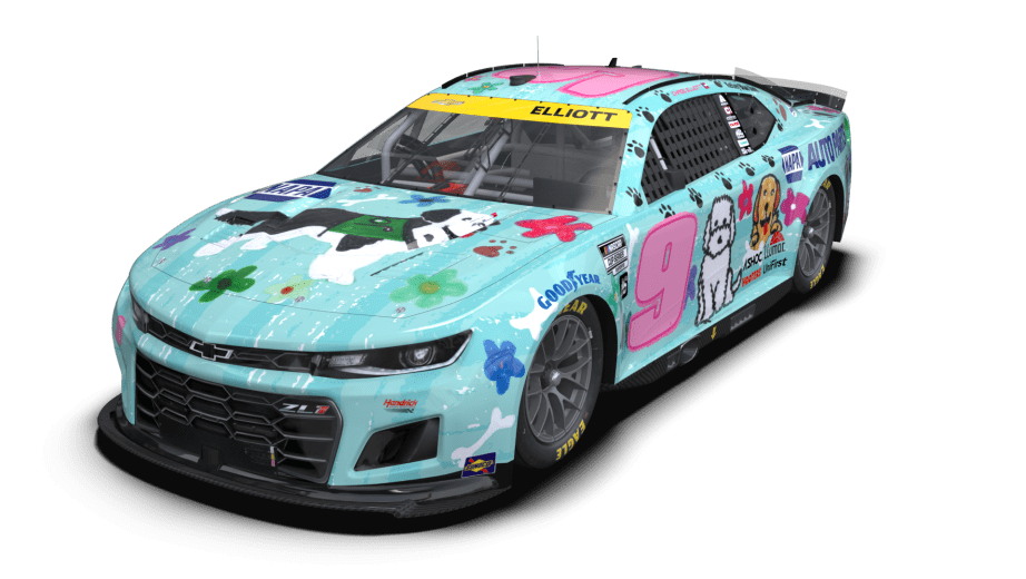 First look: Chase Elliott's DESI9N TO DRIVE paint scheme | NASCAR