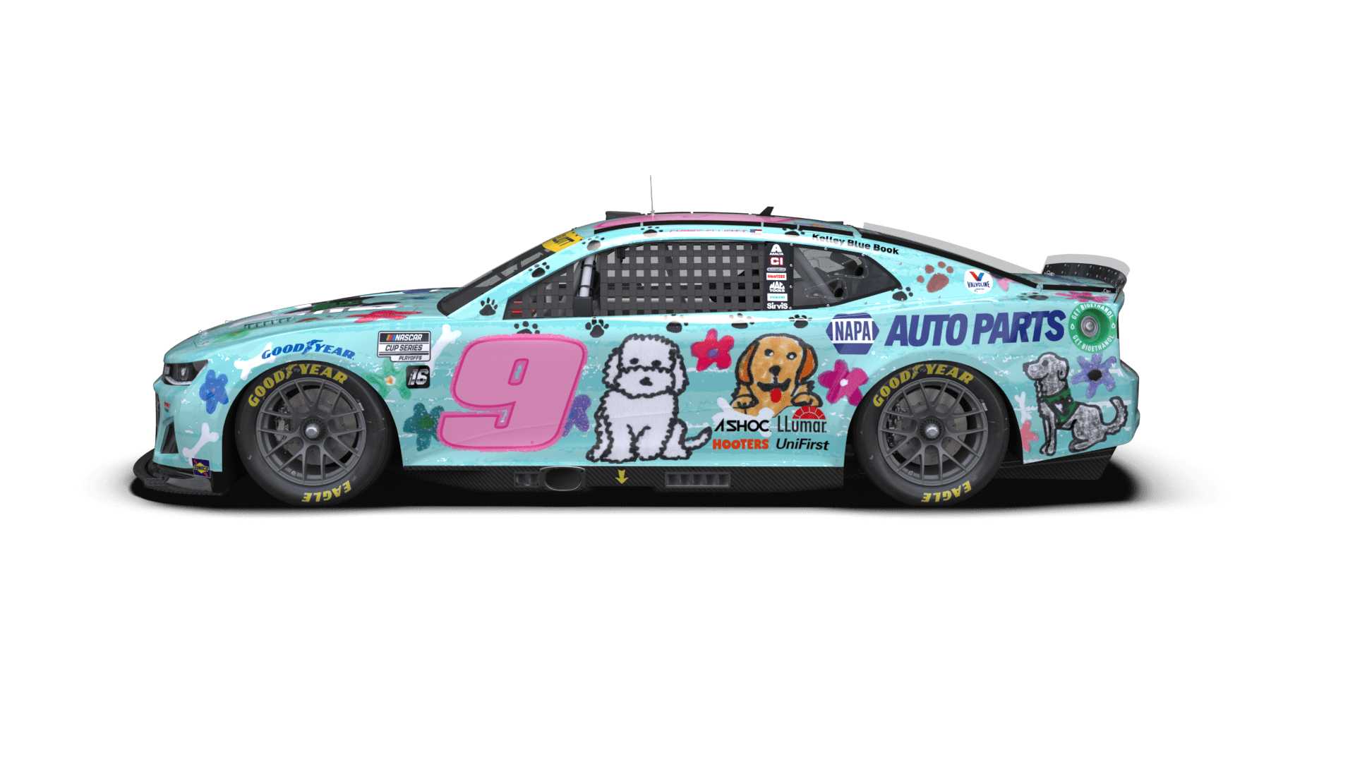 First look: Chase Elliott's DESI9N TO DRIVE paint scheme | NASCAR