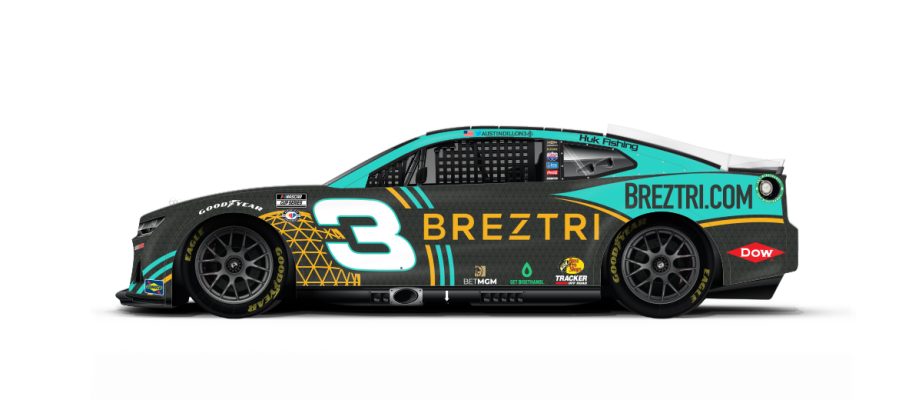 Paint Scheme Preview: 2023 Las Vegas-1 | NASCAR