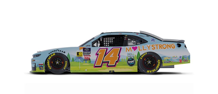 Paint Scheme Preview: 2025 Rockingham Speedway | NASCAR