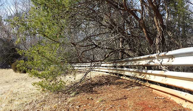 Wendell Scott's legacy looms at lost Danville track | NASCAR.com